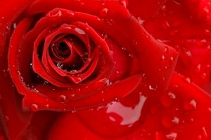 Top 10 Joomla Beginner Mistakes and How to Avoid Them » iJoomla Blog