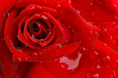 Top 10 Joomla Beginner Mistakes and How to Avoid Them » iJoomla Blog